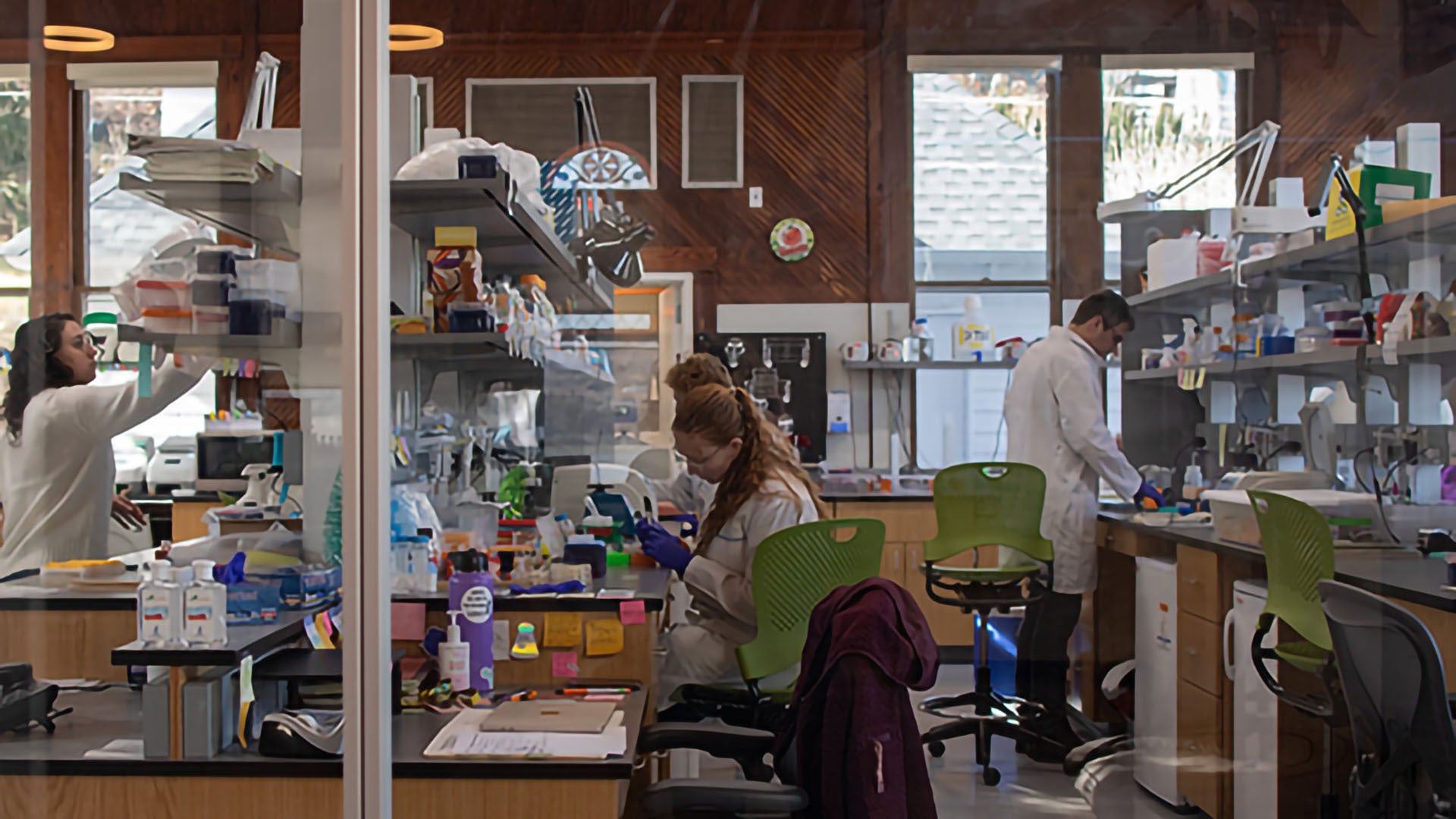 Cold Spring Harbor Discovery Opens Gateway to First Effective Therapy ...