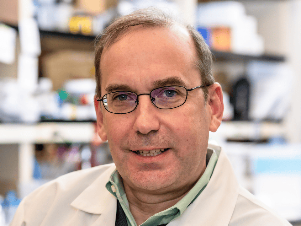 Dr Anthony Letai Takes the Helm at National Cancer Institute Opening a ...