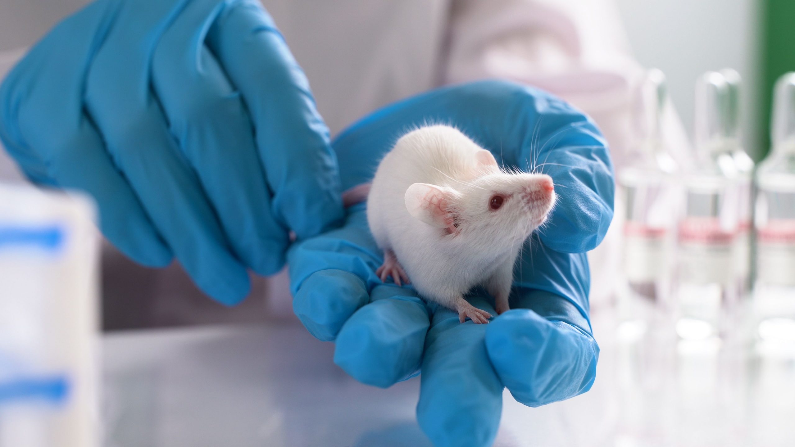 UK Embraces a Future Free from Animal Testing Powered by Artificial ...